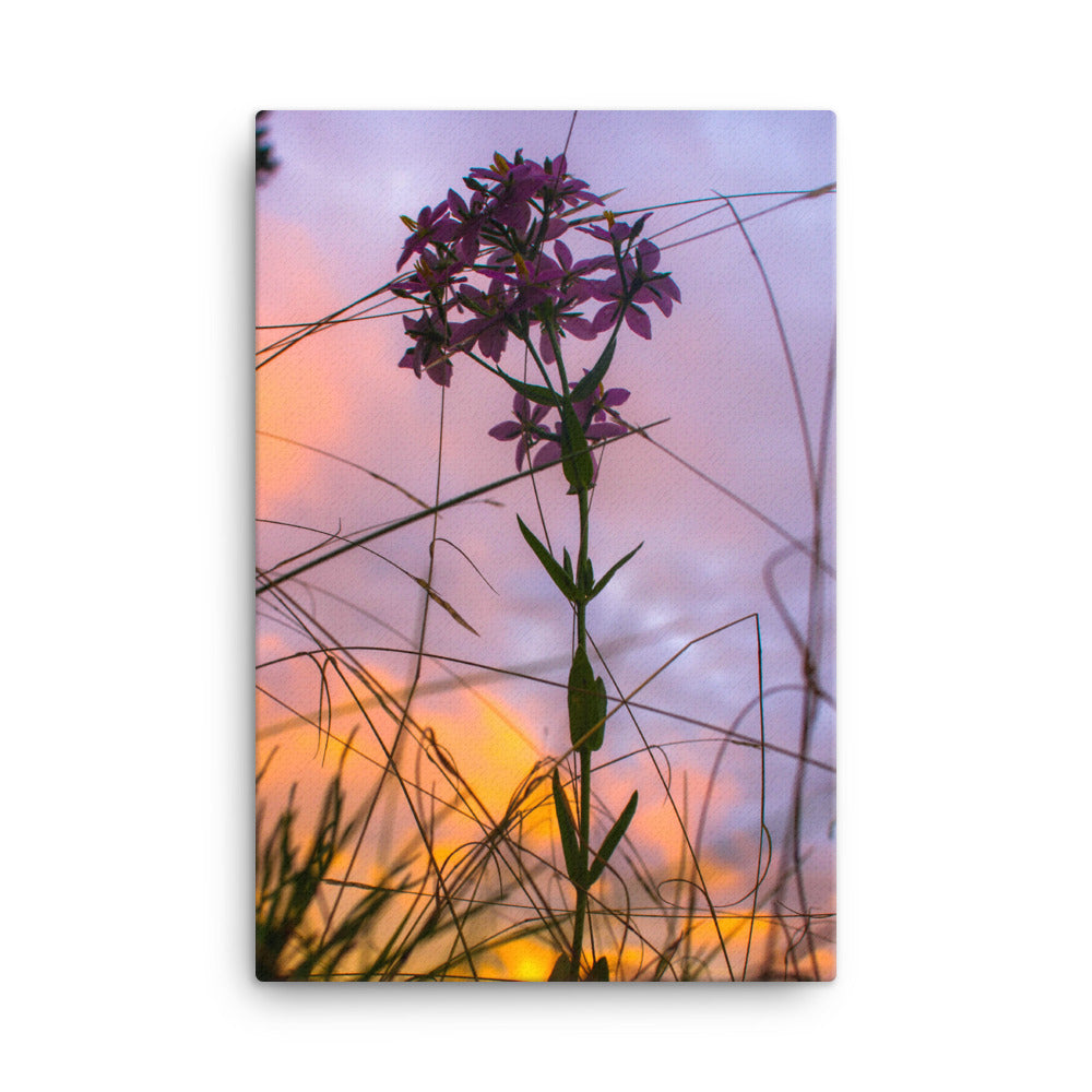 tripping over beauty – heywheresarthur wall art